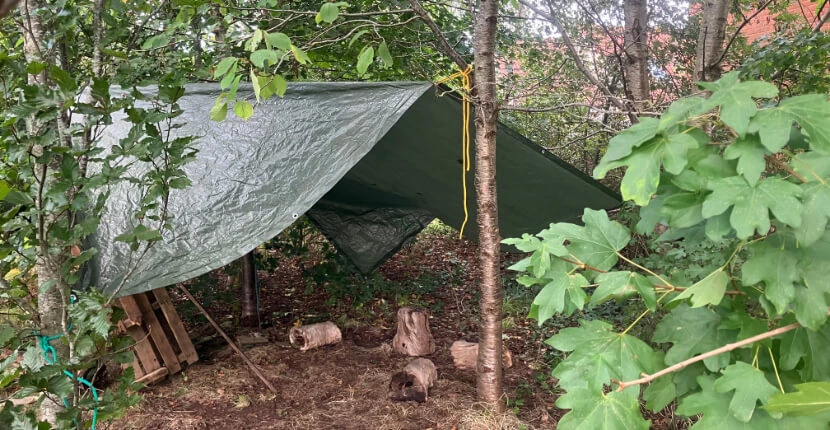 Can Schools Use Sports Premium for Forest School in Chelsea? | PE Sport ...